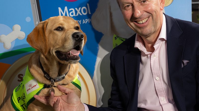 Pepco converts more Irish stores - Ireland's Forecourt & Convenience ...